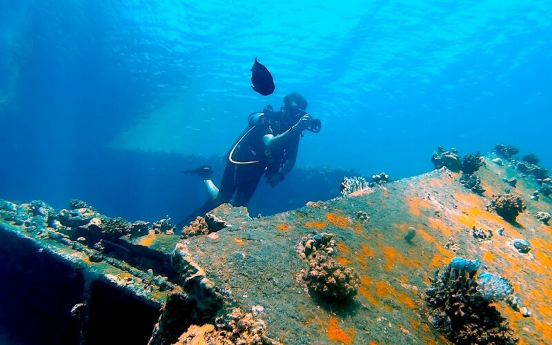 Best dive insurance (2025 update) | OutsiderView